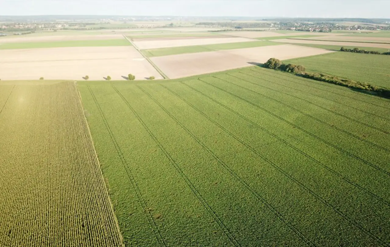 Have we been treating nature like a free factory? - Innovation Forum