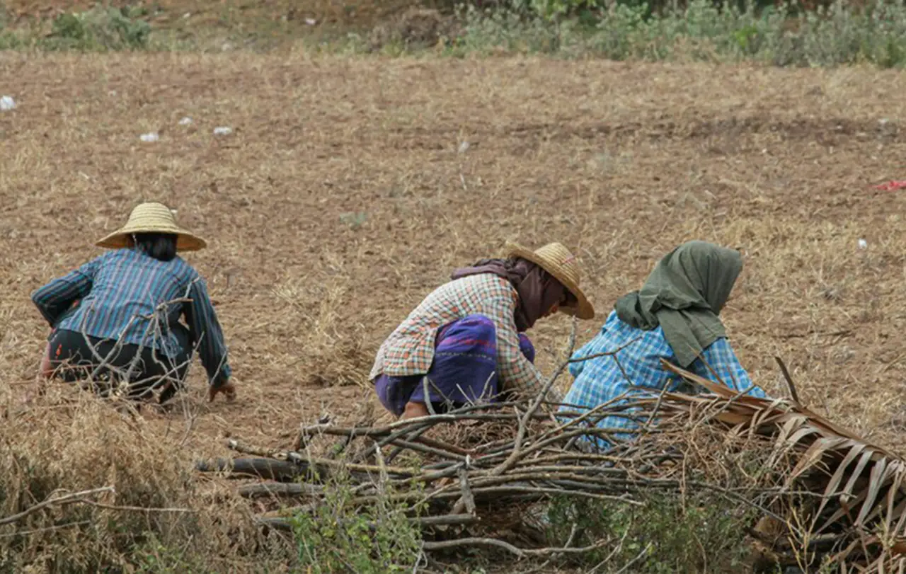 Is this the end for the soy moratorium? - Innovation Forum